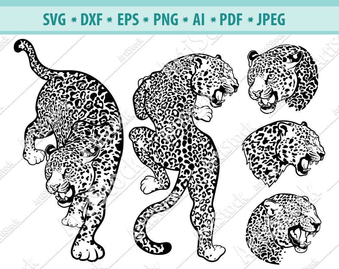 Leopard SVG, Leopard Svg, Wild Cat Svg, Leopard Clipart, Leopard Files ...