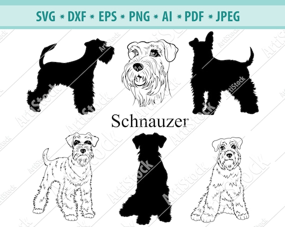 Schnauzer SVG Schnauzer Silhouette SVG Dog SVG Digital | Etsy