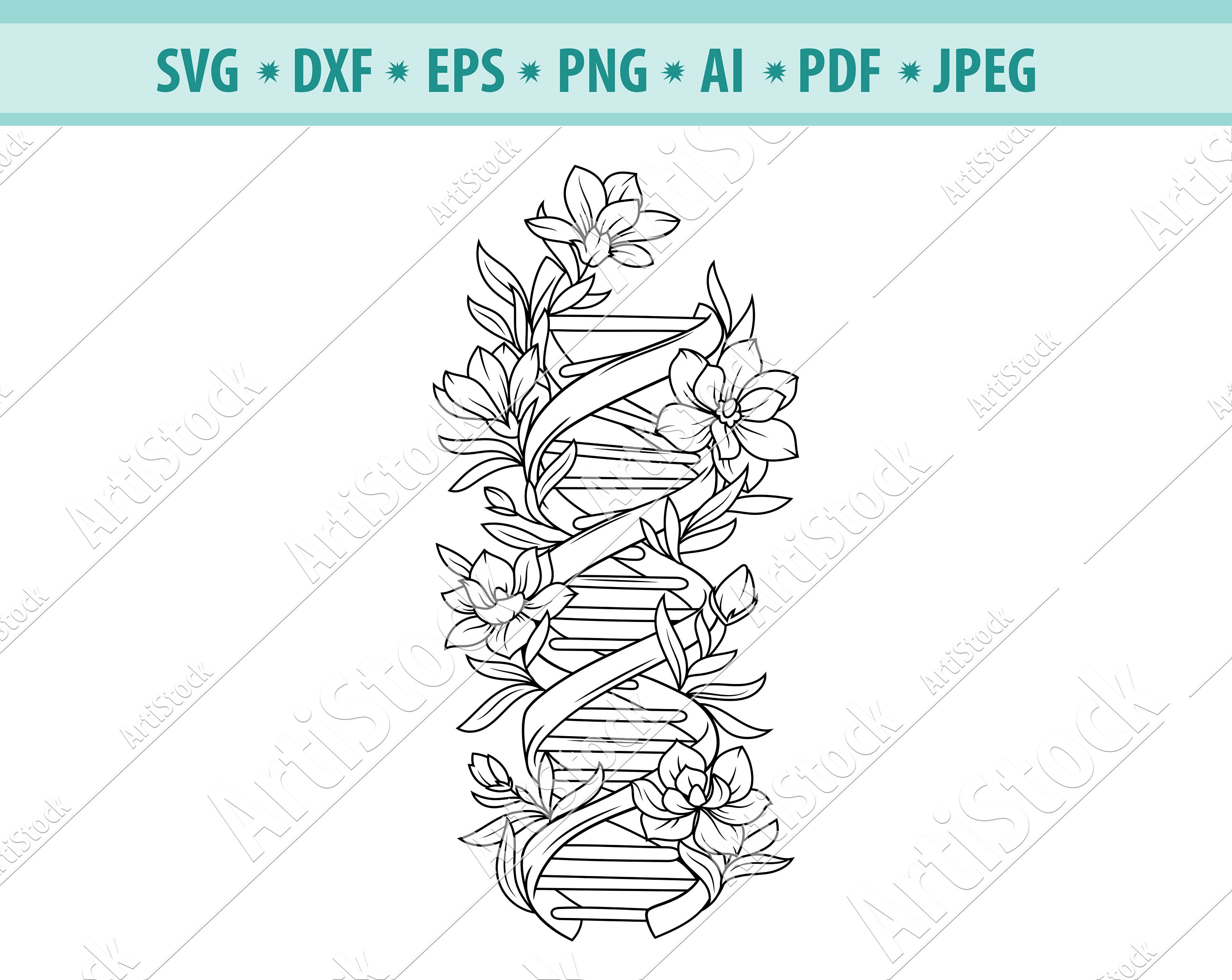 Molécula de ADN Svg Flower Dna Svg Double helix Svg Genetic - Etsy México