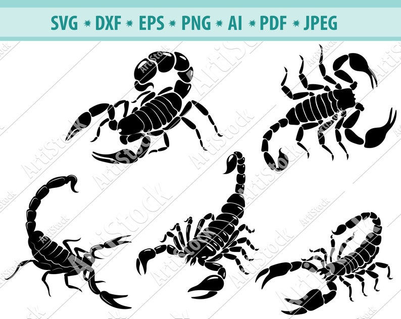 Scorpions SVG, Scorpion cut file, Scorpion clip art, Scorpion ...