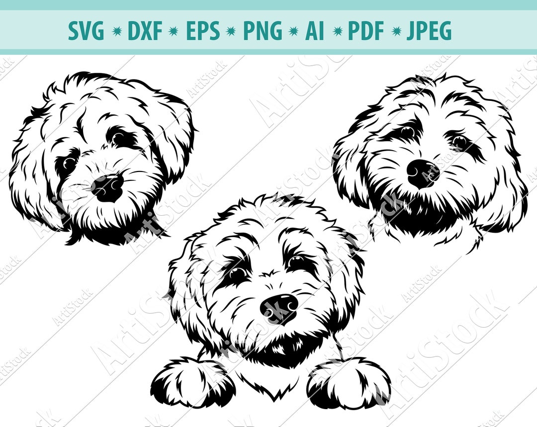 Labradoodle Svg, Dog Svg, Fluffy Pets Svg, Smiling Puppy Svg, Svg ...