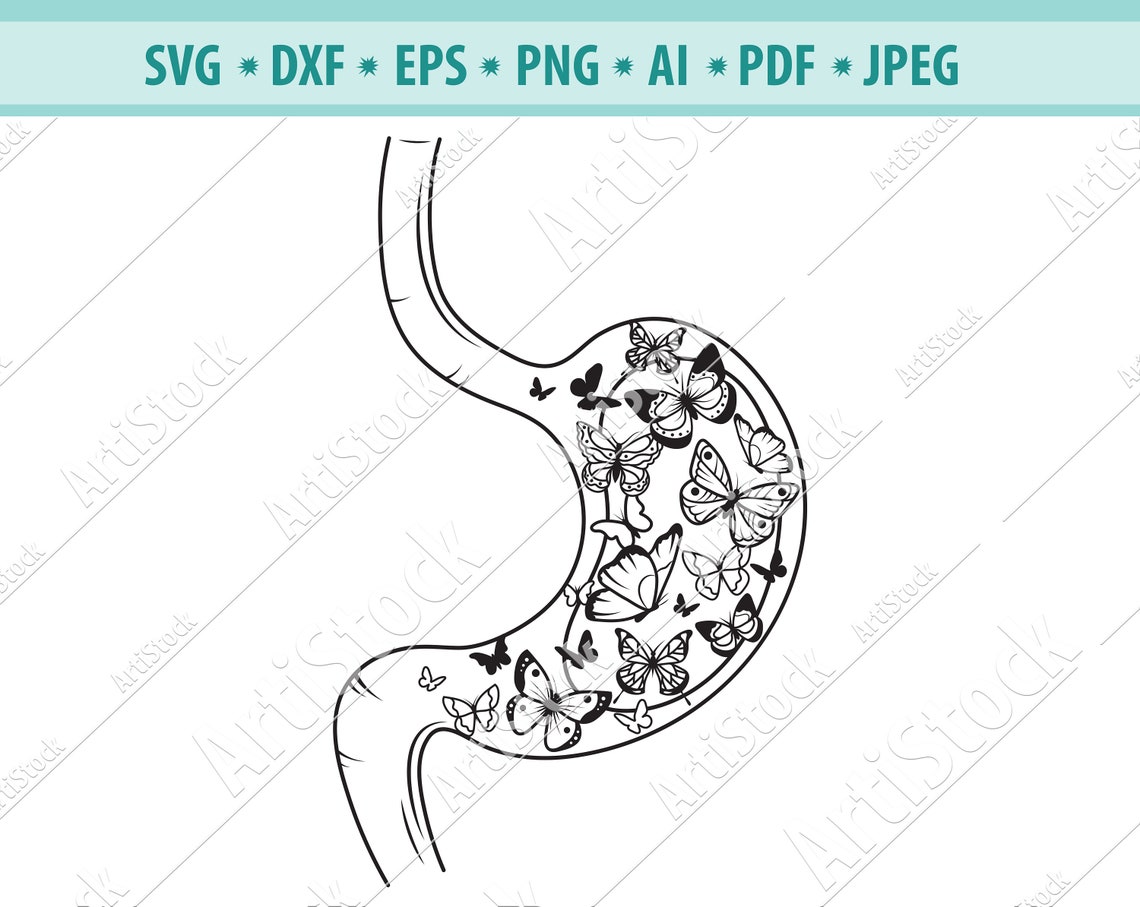 Stomach Svg Butterflies in Stomach Svg Anatomy Svg Love - Etsy