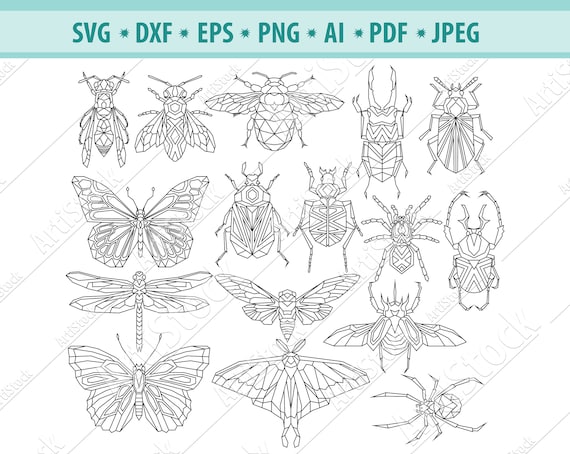 Insectos Svg Insectos lineales Silueta de insectos Archivos - Etsy España