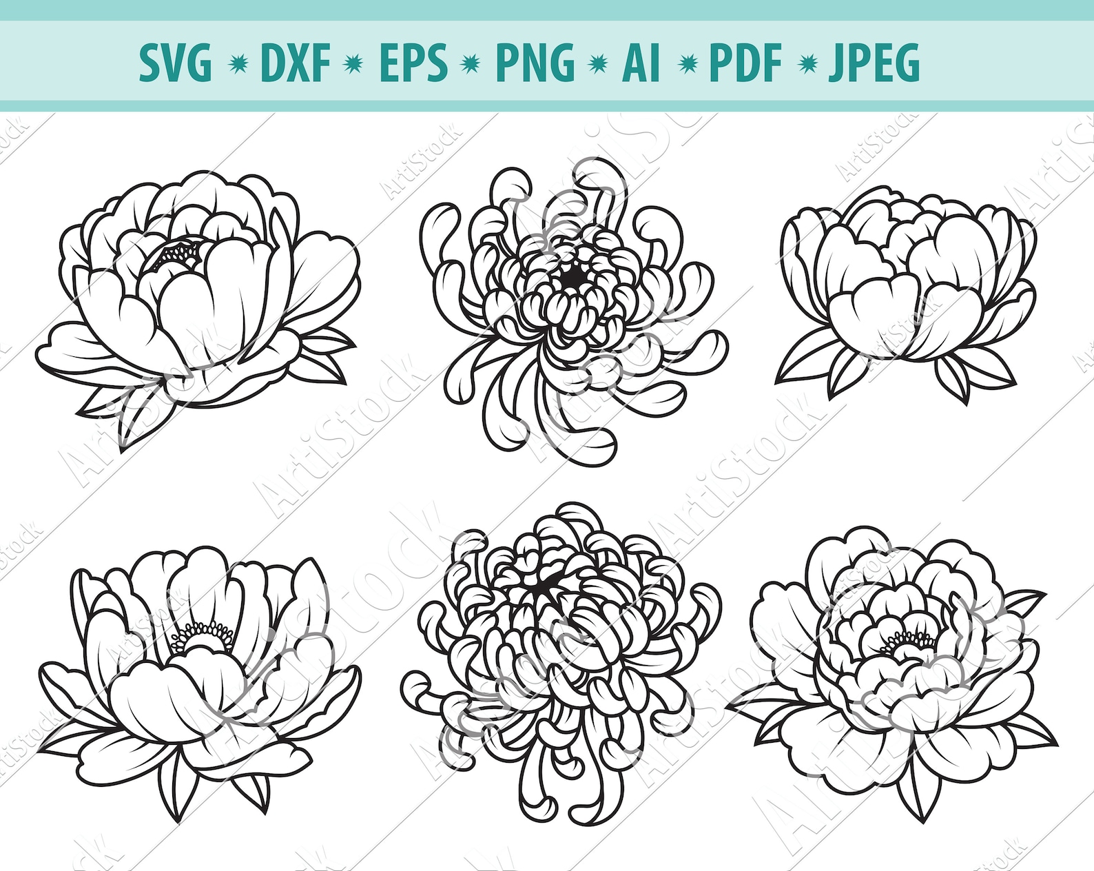 Peony Svg Bundle Peonies Flowers Svg Peony Clipart Peony | Etsy