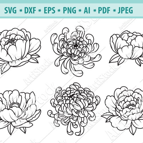 Peony Svg Bundle Peonies Flowers Svg Peony Clipart Peony - Etsy