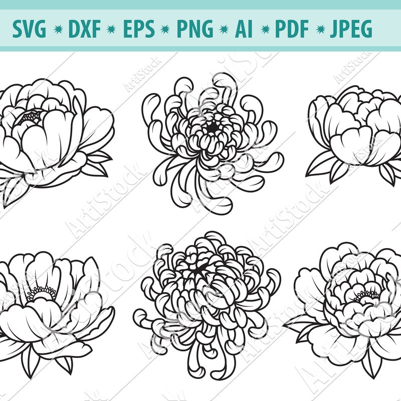 Peony Svg - Etsy