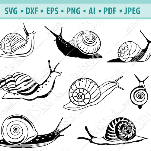 Snails SVG File Slugs SVG Snail Vector Image Garden Animals - Etsy