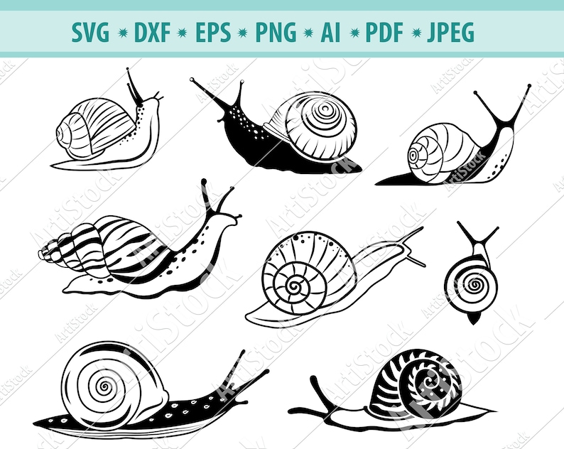 Snails SVG File Slugs SVG Snail Vector Image Garden Animals | Etsy