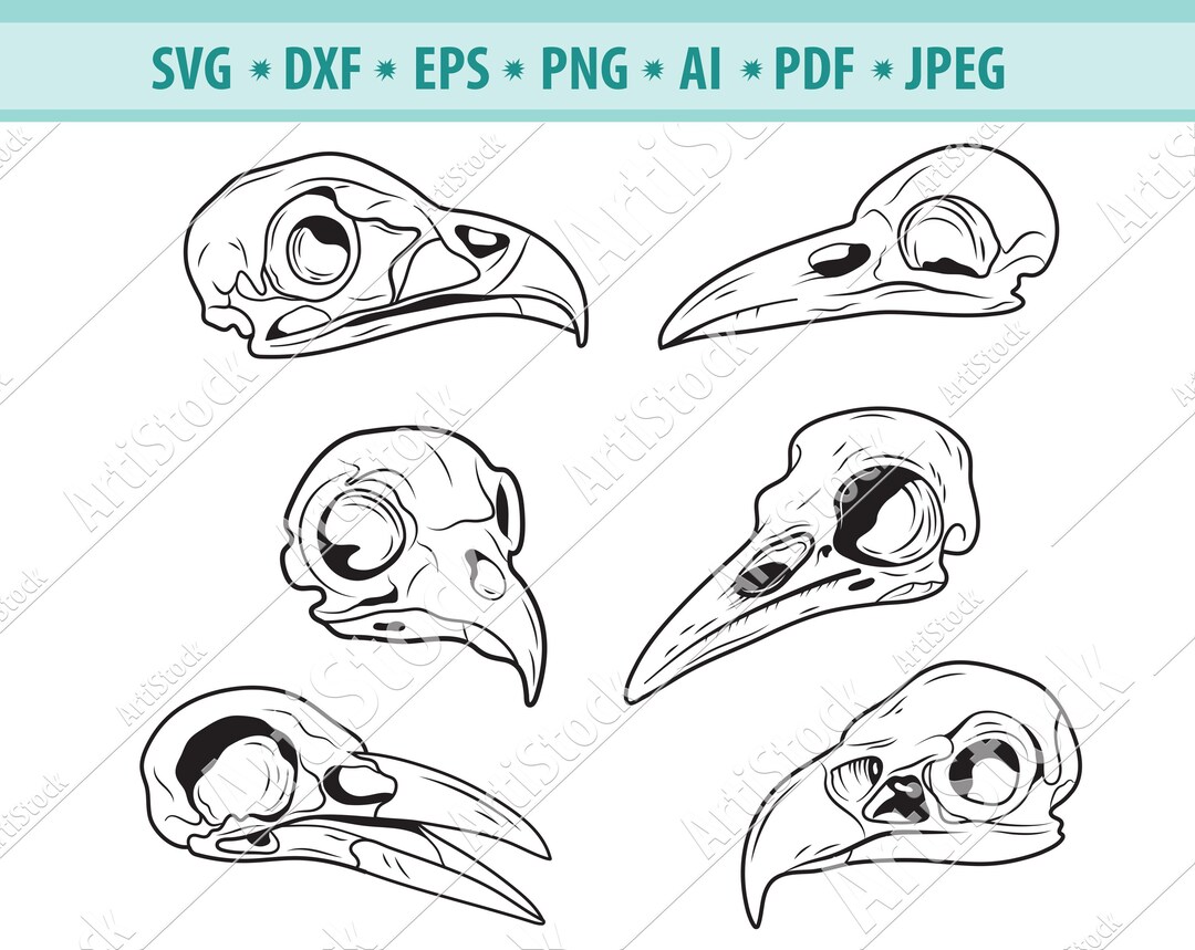 Skulls Birds, Skull Svg, Birds Head Svg, Beaks, Skulls Birds Svg, Birds ...