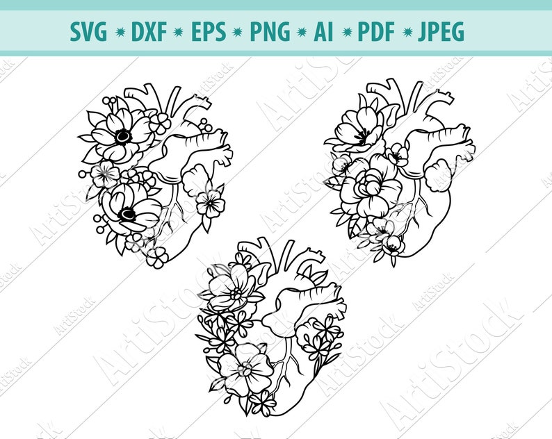 Heart Svg File Anatomical Heart Svg Human Heart Svg - Etsy