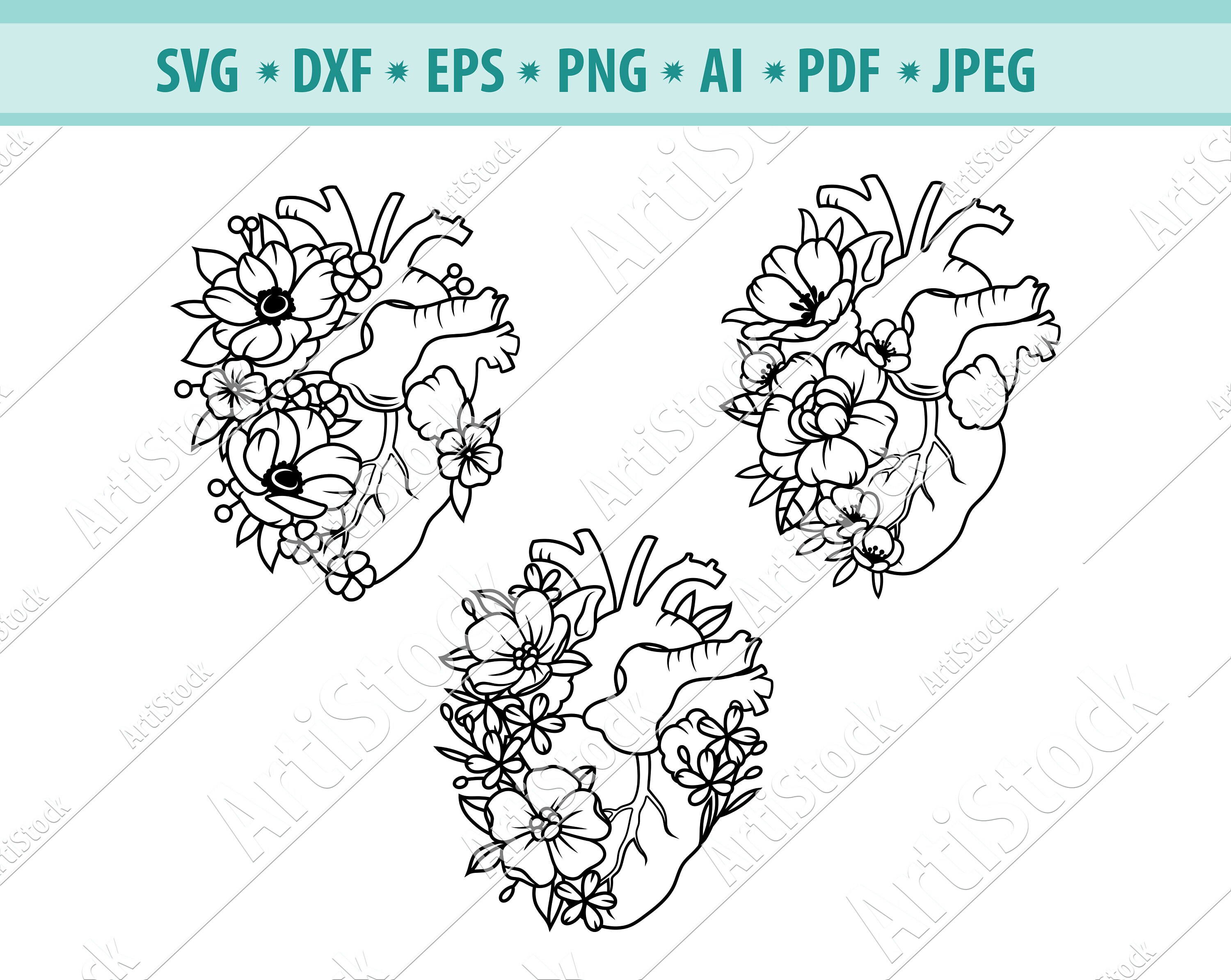 Heart Svg File, Anatomical Heart Svg, Human Heart Svg , Anatomy Svg ...