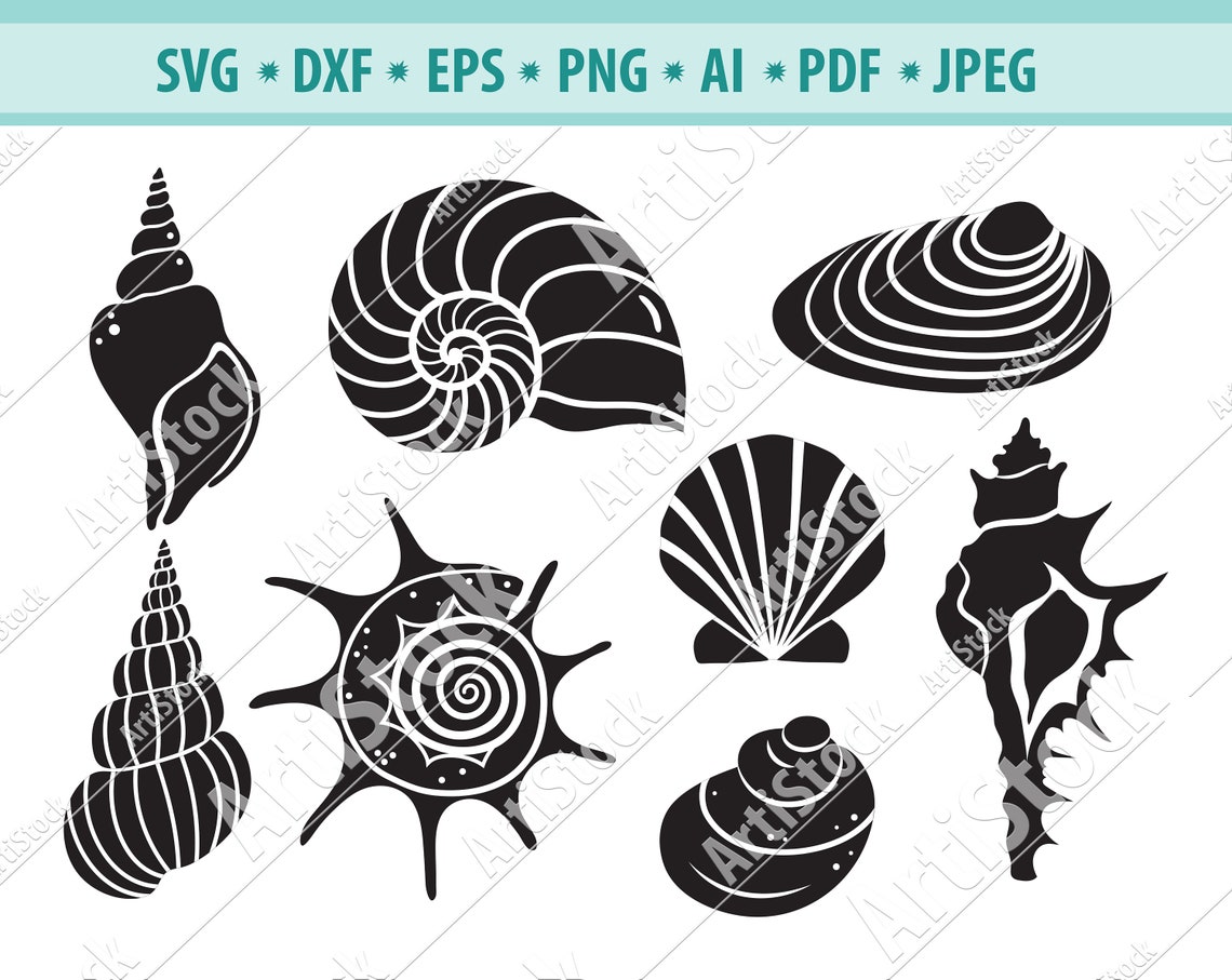 Seashells Svg Shell Clipart Underwater World Svg Ocean Svg - Etsy