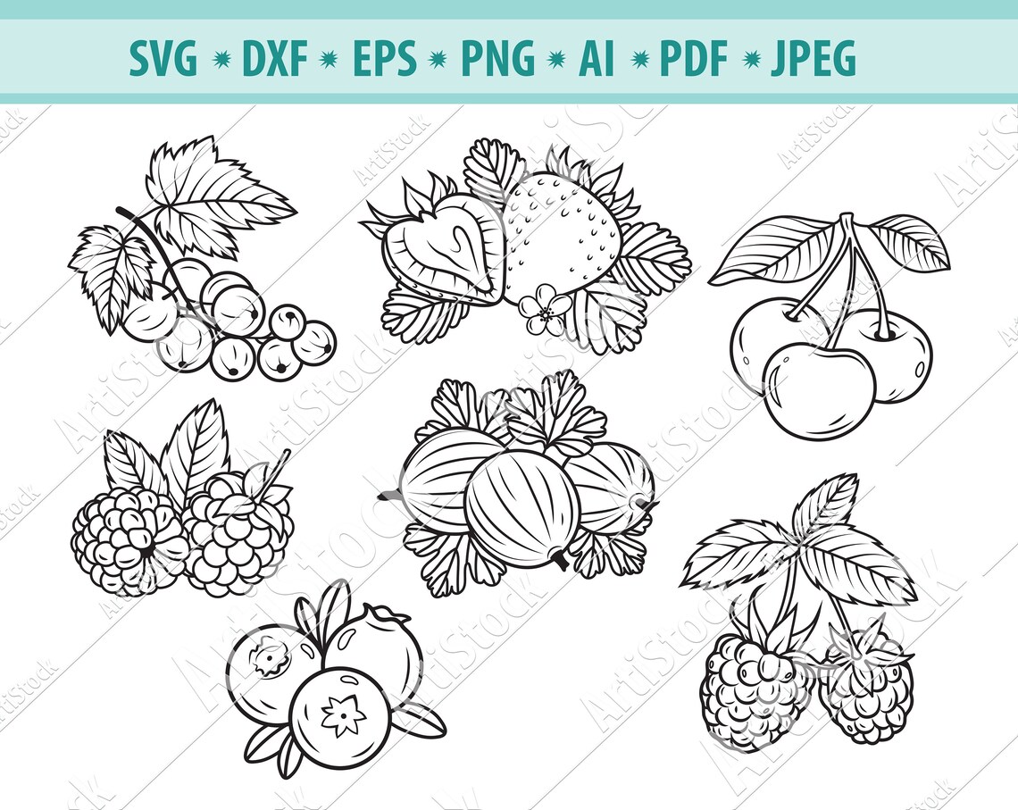 Berry Svg Bundle Strawberry Svg Fruit Svg Berry Clipart - Etsy
