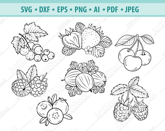 Berry Svg Bundle Strawberry Svg Fruit Svg Berry Clipart - Etsy