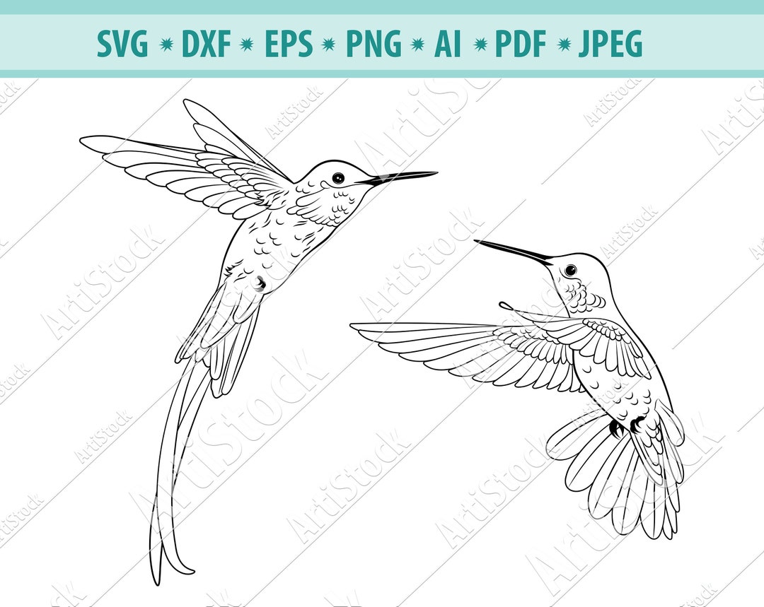Hummingbird SVG File, Hummingbirds Svg, Flying Birds Svg, Hummingbird ...