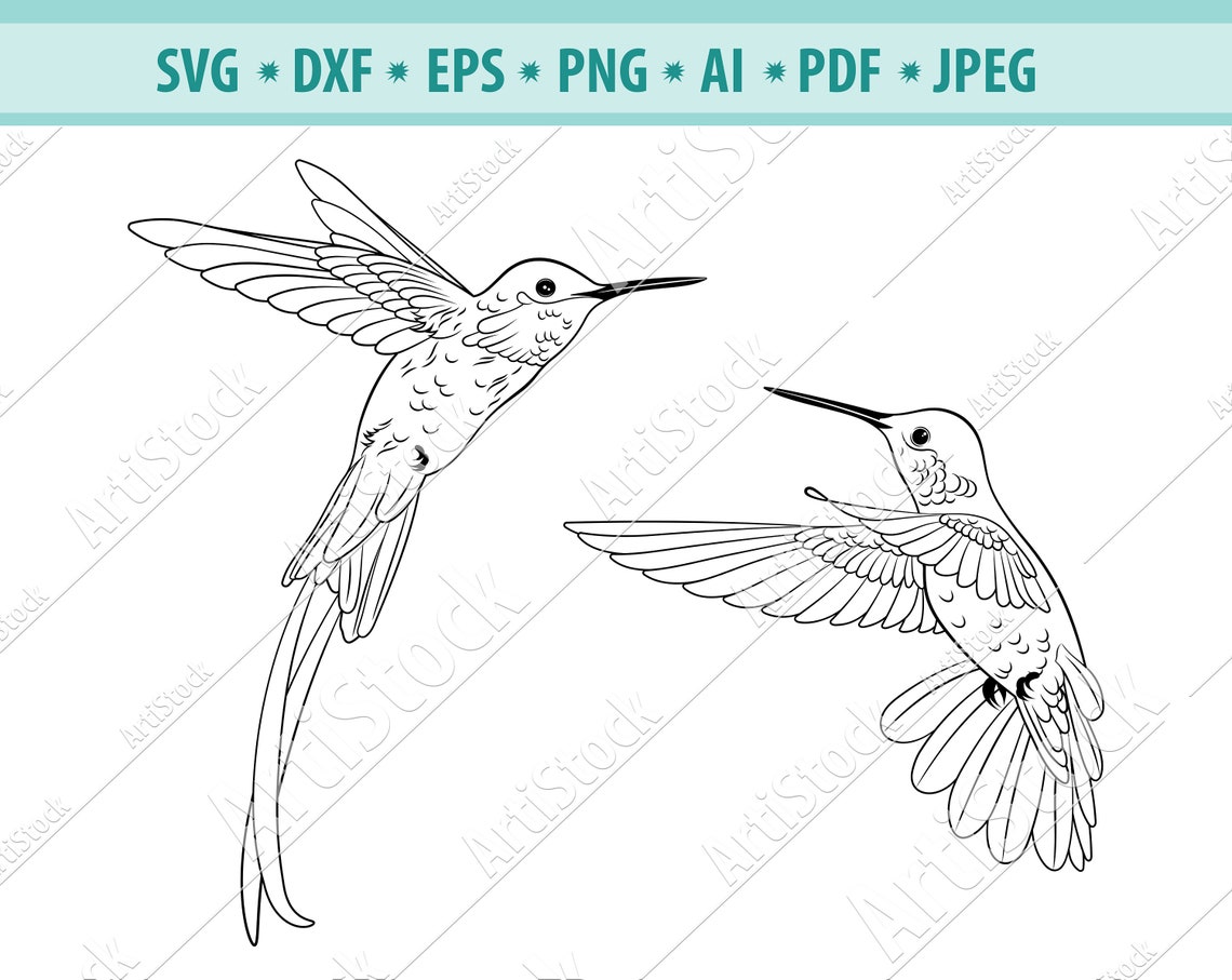 Hummingbird SVG File Hummingbirds Svg Flying Birds Svg - Etsy