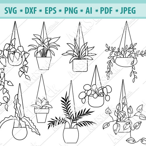 Plants SVG Potted Plants Svg Houseplants Svg Flower Pot - Etsy
