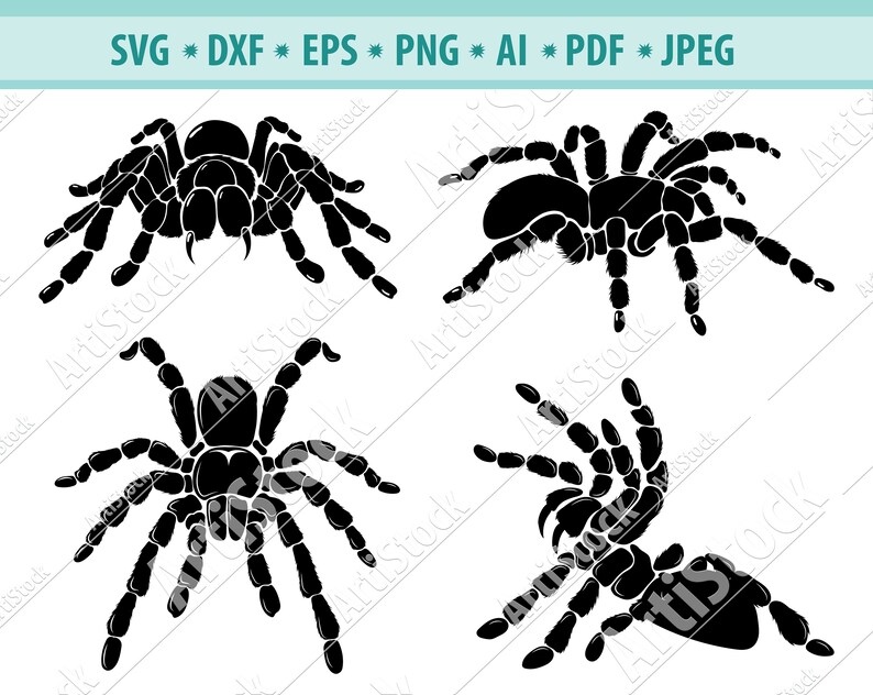 Spider SVG Bundle Halloween SVG Tarantula Svg Spider | Etsy