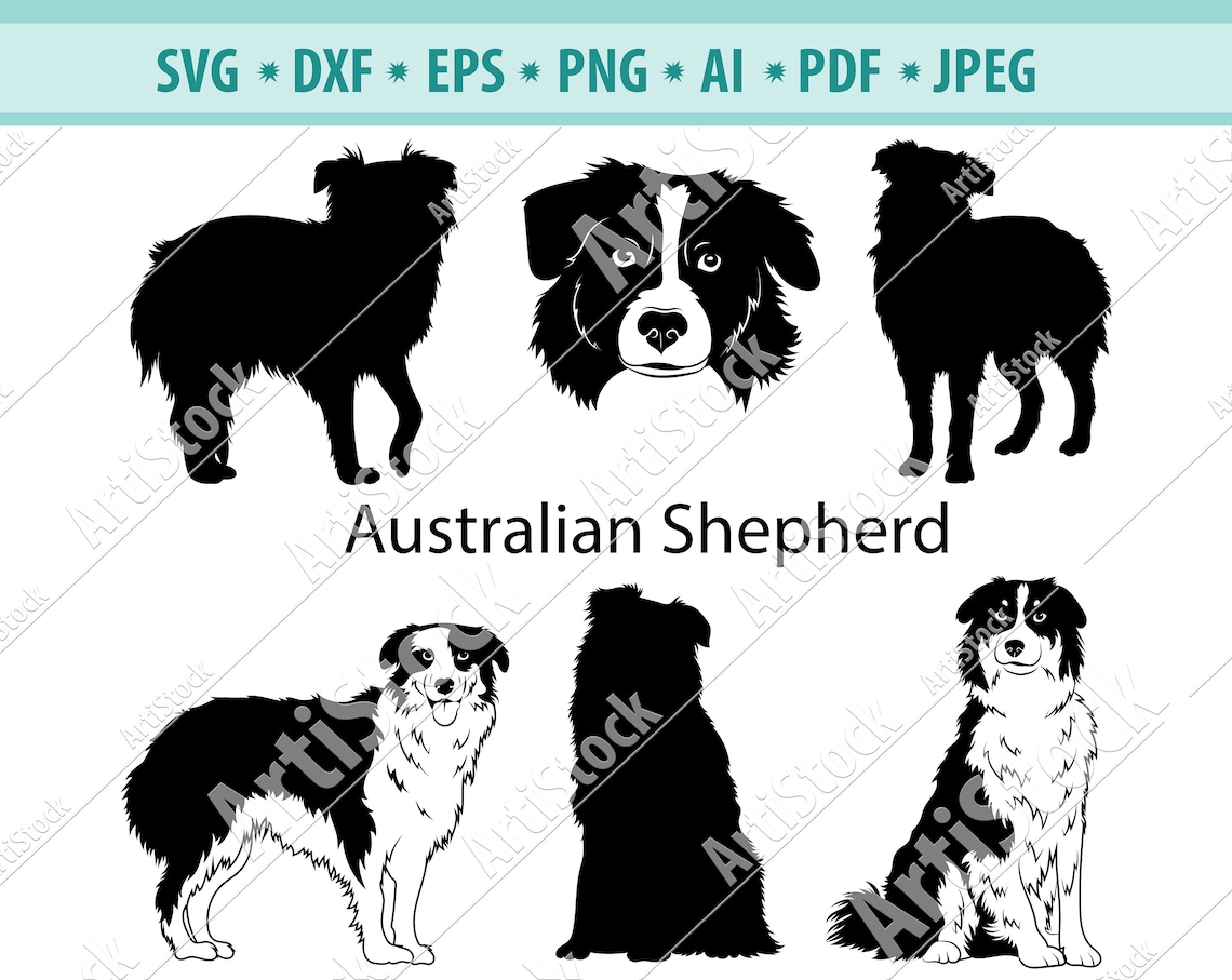 Australian Shepherd SVG - Aussie Silhouette - Dog Breed SVG - Digital ...