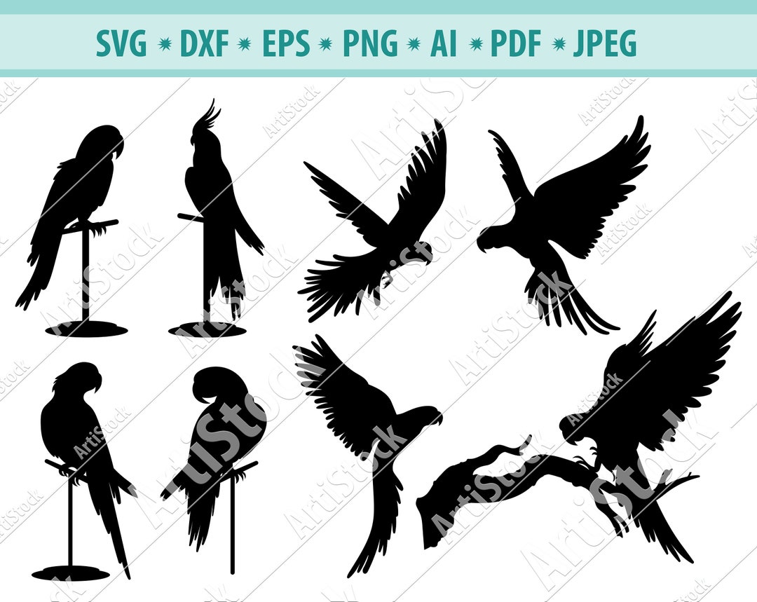 Parrot Svg, Parrot Clipart, Parrot Files for Cricut, Parrot Cut Files ...