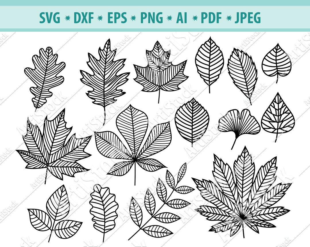 Leaf Svg File, Leaves Svg, Autumn Svg, Fall Leaves Svg, Plants Svg ...
