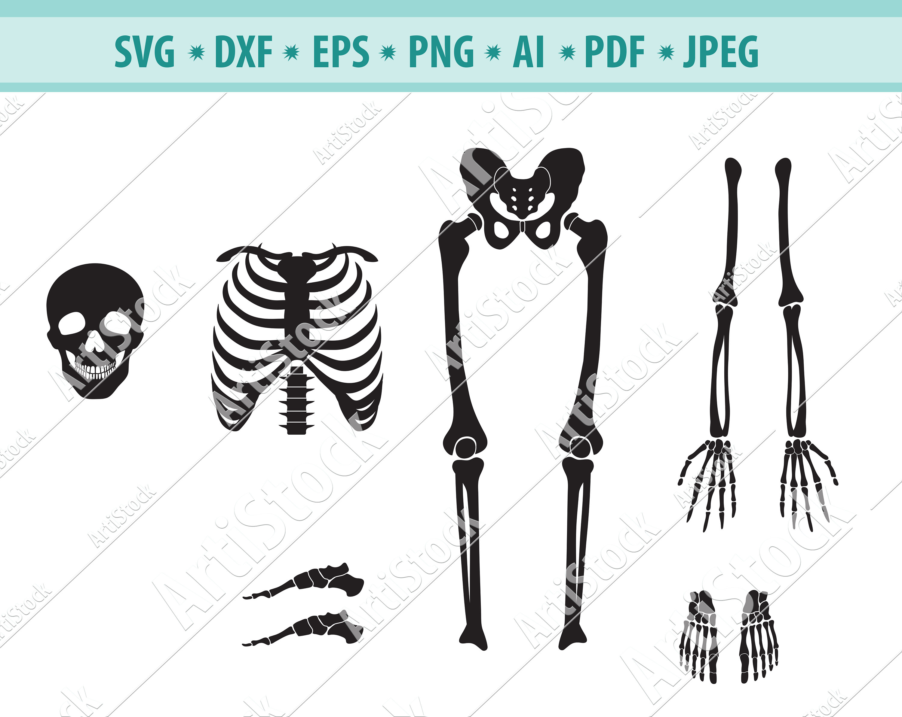 Skeleton parts SVG Halloween skeleton svg Skeleton svg | Etsy