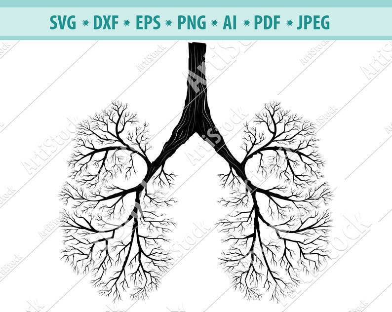 Human Lung Svg, Lungs Svg Flowery, Human Lung Silhouette, Human Lung ...