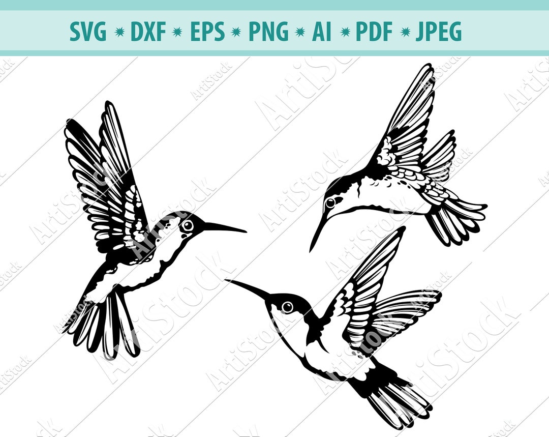 Hummingbird SVG File, Hummingbirds Svg, Flying Birds Svg, Hummingbird ...