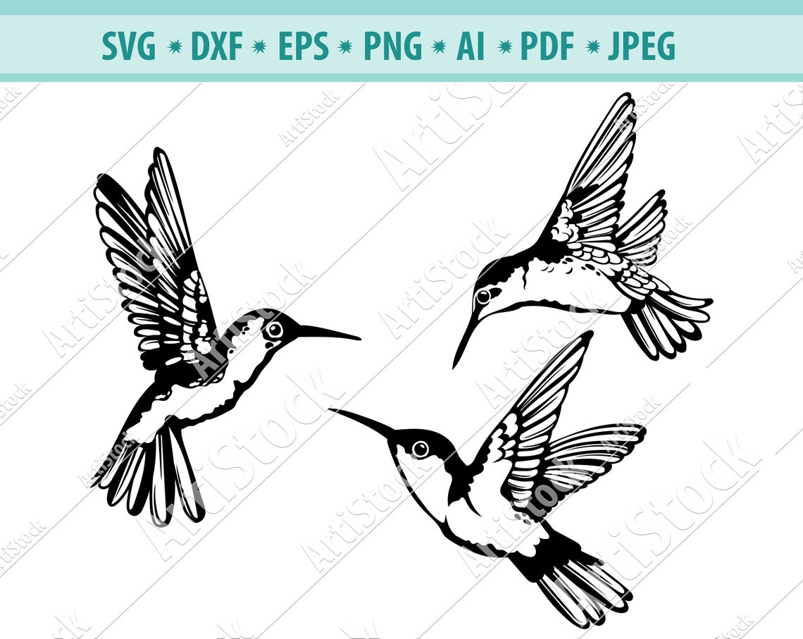 Hummingbird SVG File Hummingbirds Svg Flying Birds Svg - Etsy