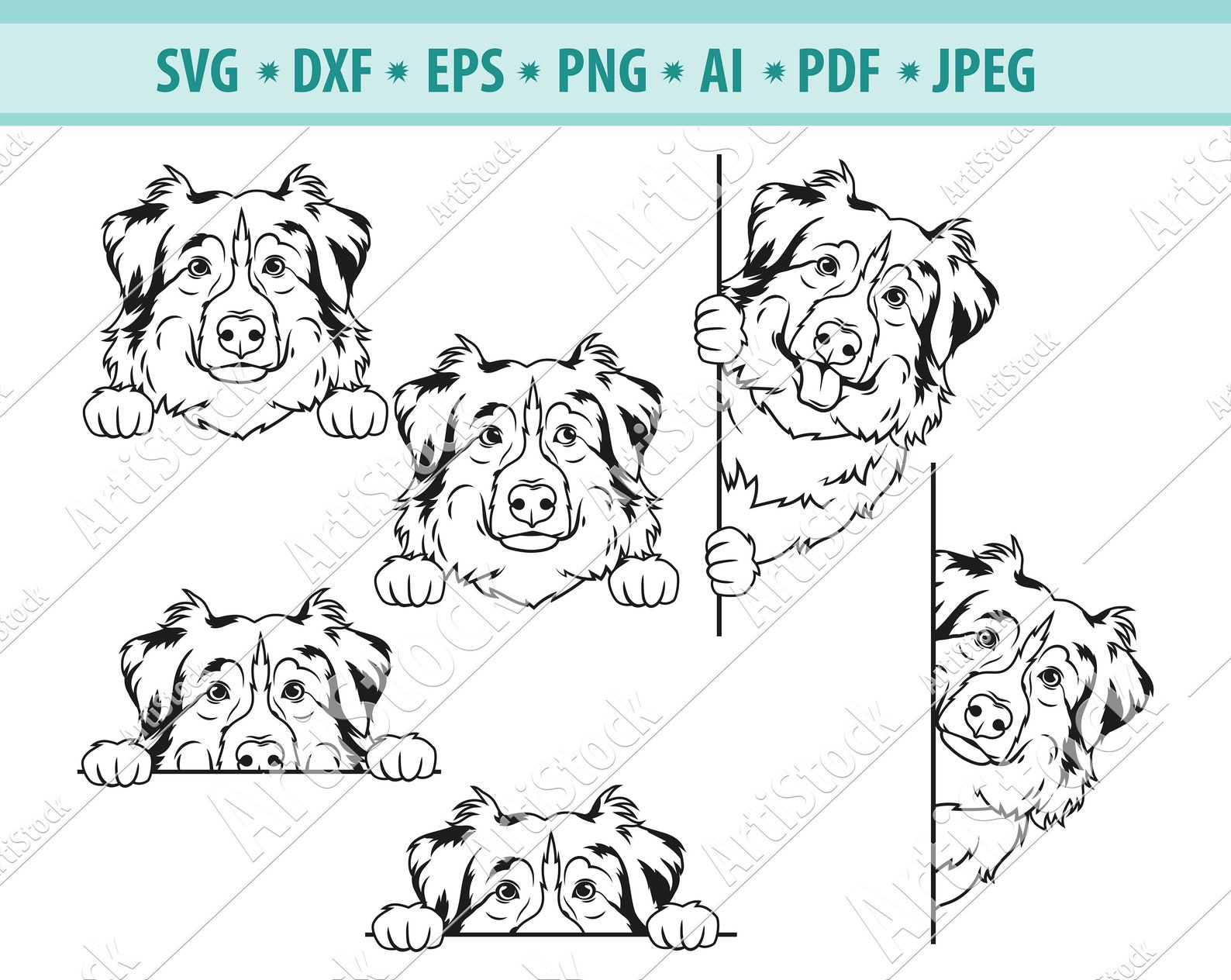 Peeping Australian Sheepdog Svg Australian Sheepdog Svg - Etsy