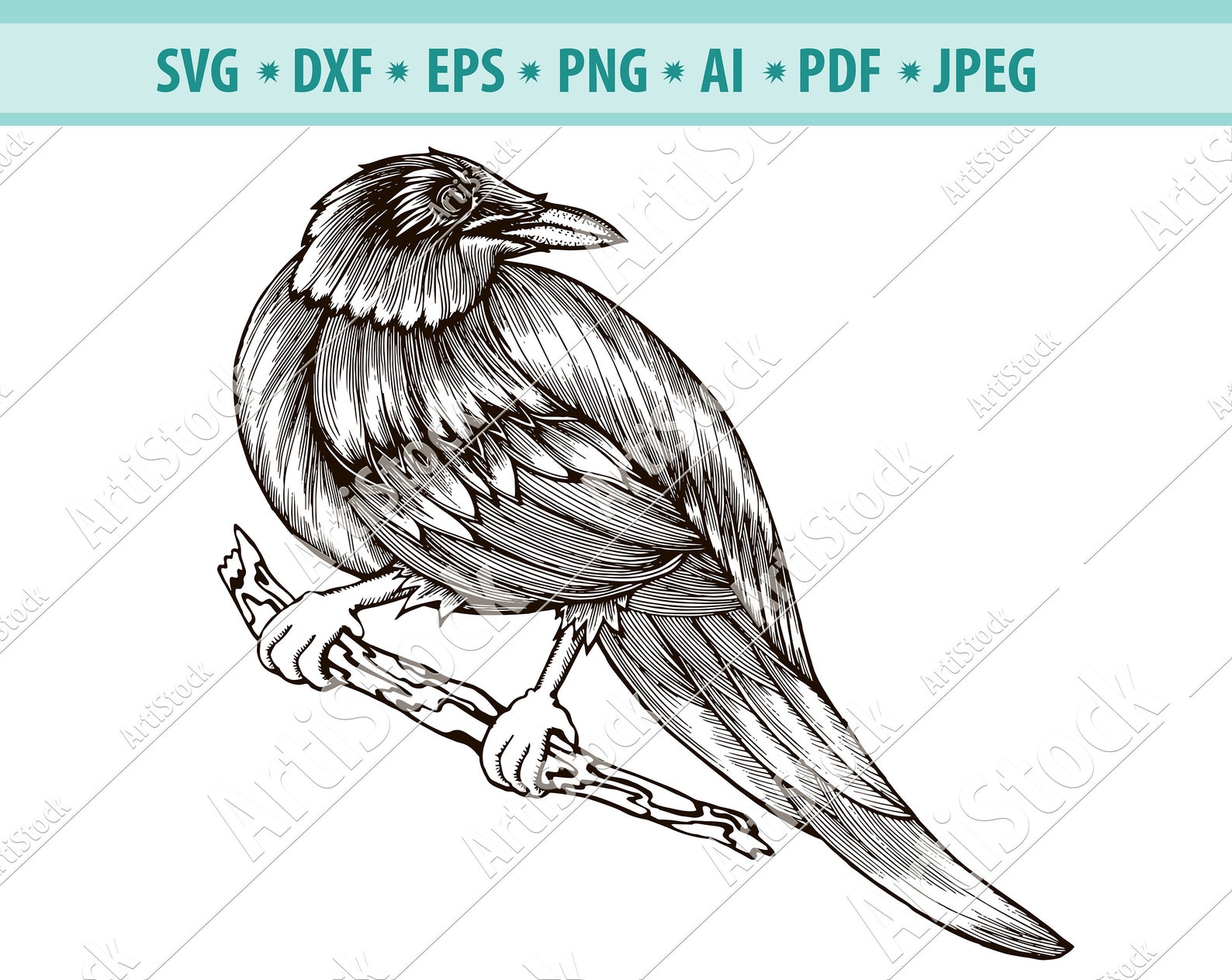 Raven SVG Crow Zentangle Svg Raven Clipart Raven Files for - Etsy