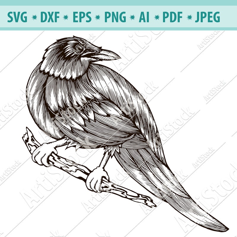 Zentangle Bird - Etsy