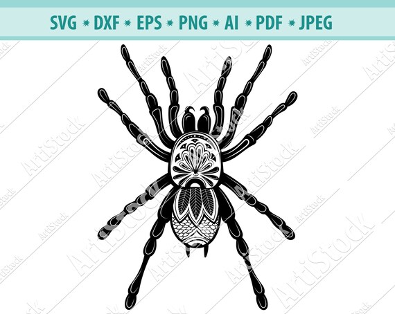 Spider Svg Spider Clipart Spider Decal Spider Art Spider - Etsy