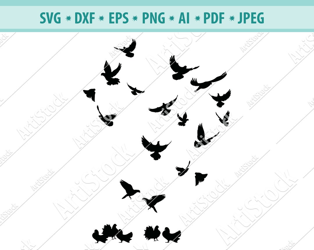 Flock of Birds SVG Vector, Silueta de aves SVG, pájaros voladores para ...