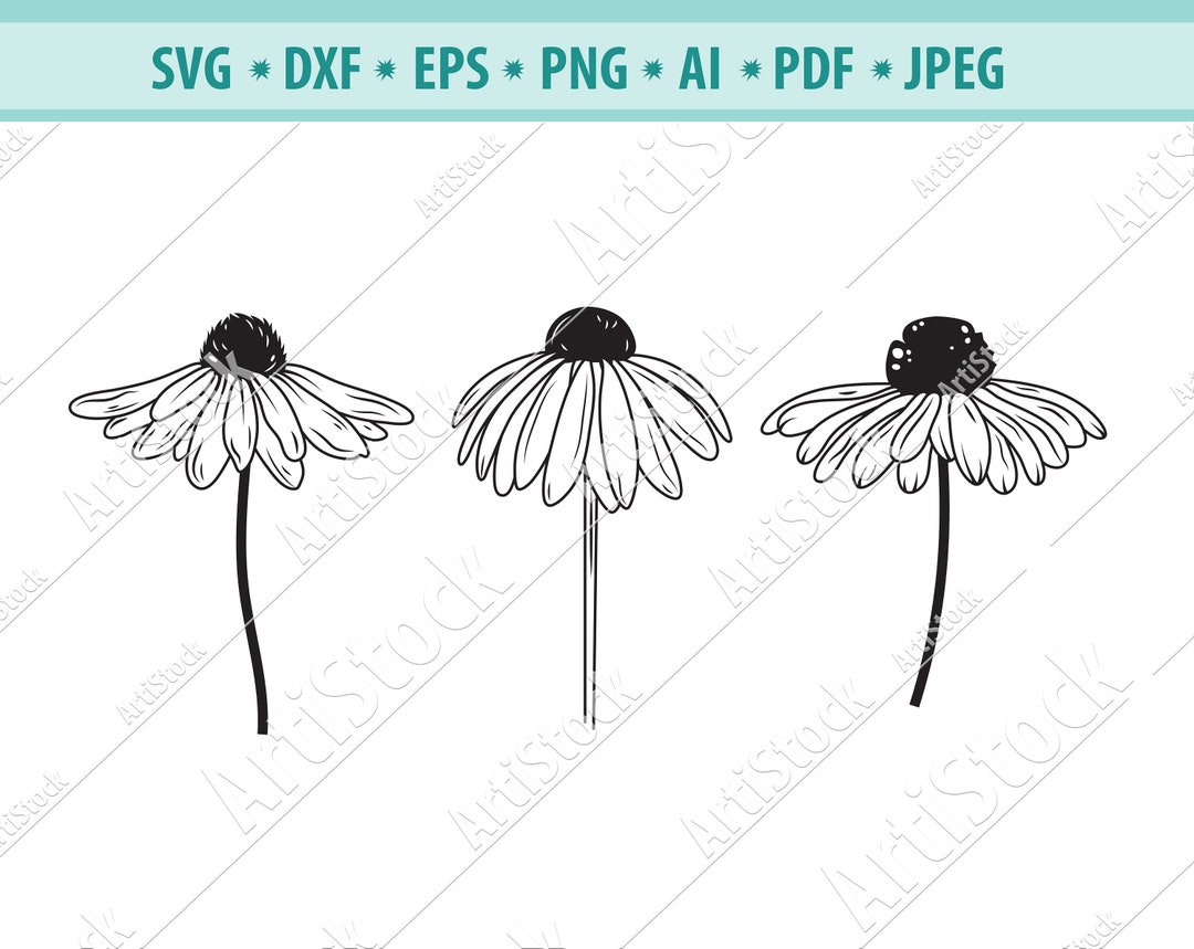 Daisy Flower SVG, Daisy Clipart, Chamomile Svg, Flower Svg, Wildflowers ...