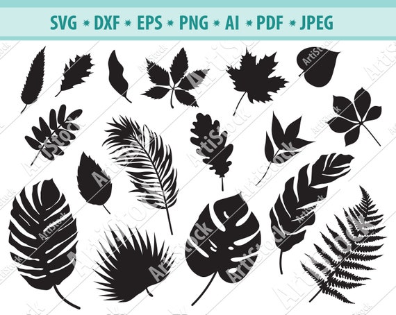 Hojas SVG archivo hojas de palma SVG hojas de otoño Dxf | Etsy México