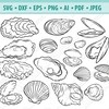 Whimsical Oyster Line Art, Wedding Clipart (PNG, SVG) - Etsy