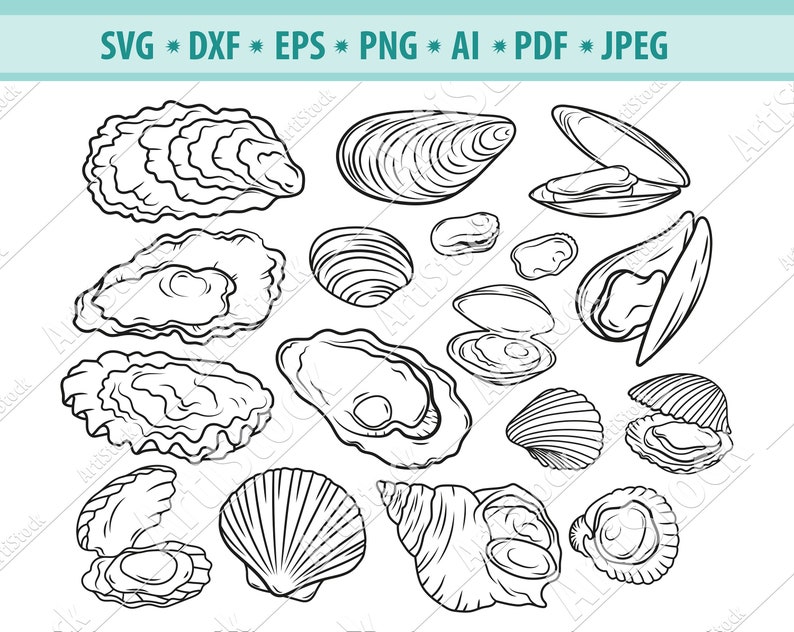 Seashells Svg Shell Clipart Underwater World Svg Ocean Svg - Etsy