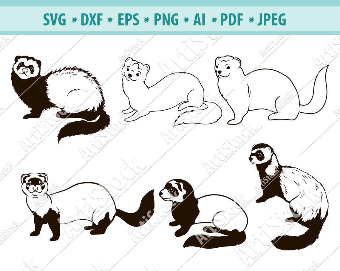 Ferret Svg Bundle Pet Polecat Svg Rodent Svg Cute Fluffy - Etsy