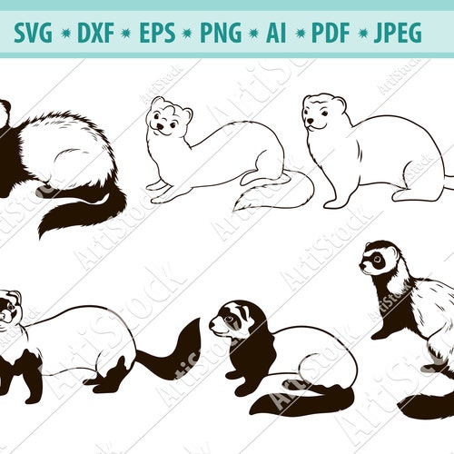 Ferret Svg Bundle Pet Polecat Svg Rodent Svg Cute Fluffy - Etsy