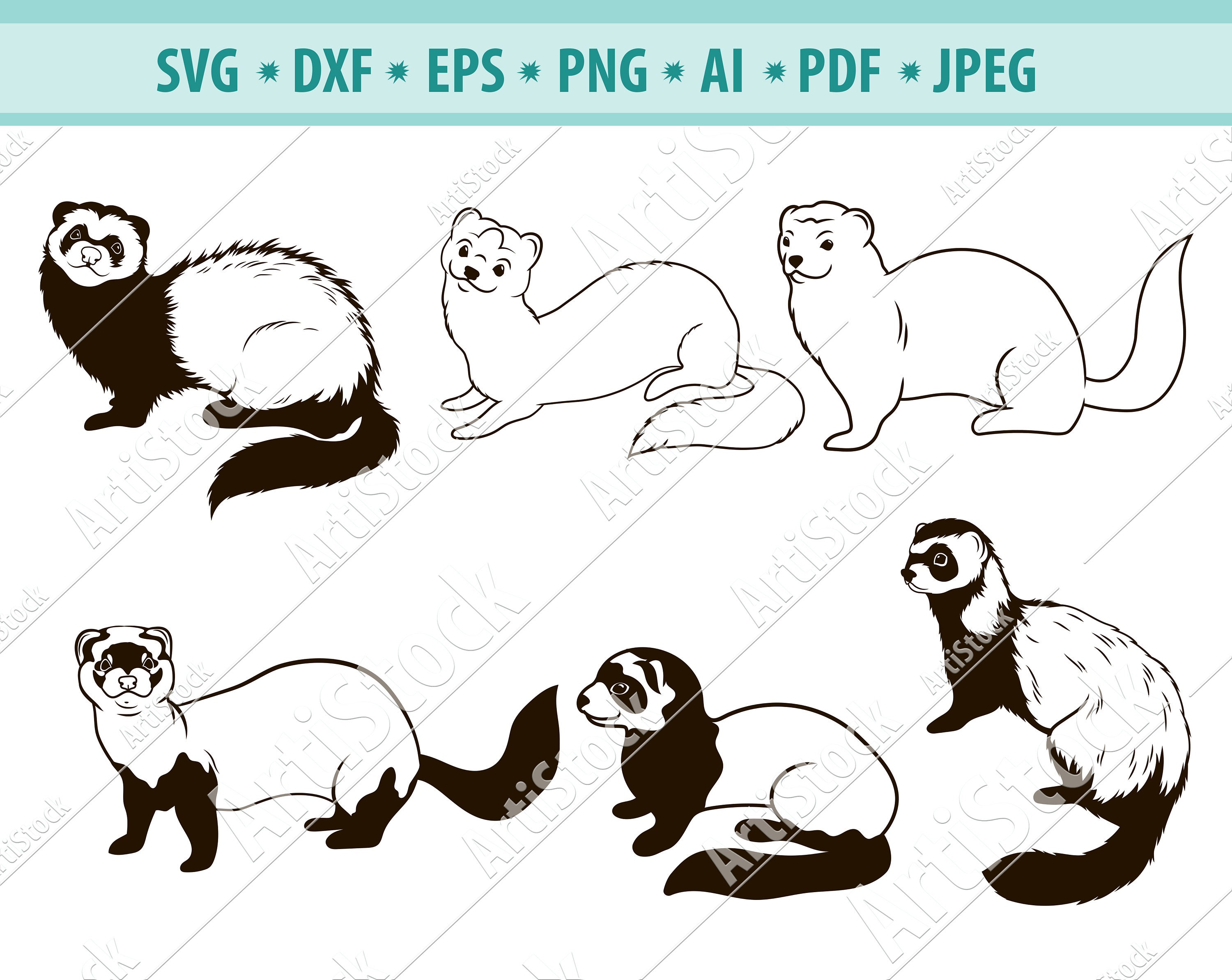 Ferret Svg Bundle Pet polecat Svg Rodent Svg Linda mascota | Etsy