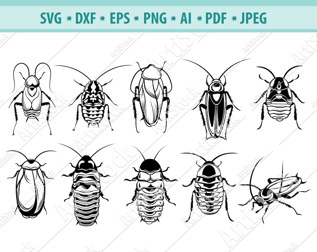 Cockroach SVG, Cockroach Clipart, Cockroach Files for Cricut, Cockroach ...