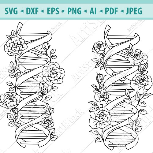 DNA Molecule Svg Flower Dna Svg Double Helix Svg Genetic - Etsy