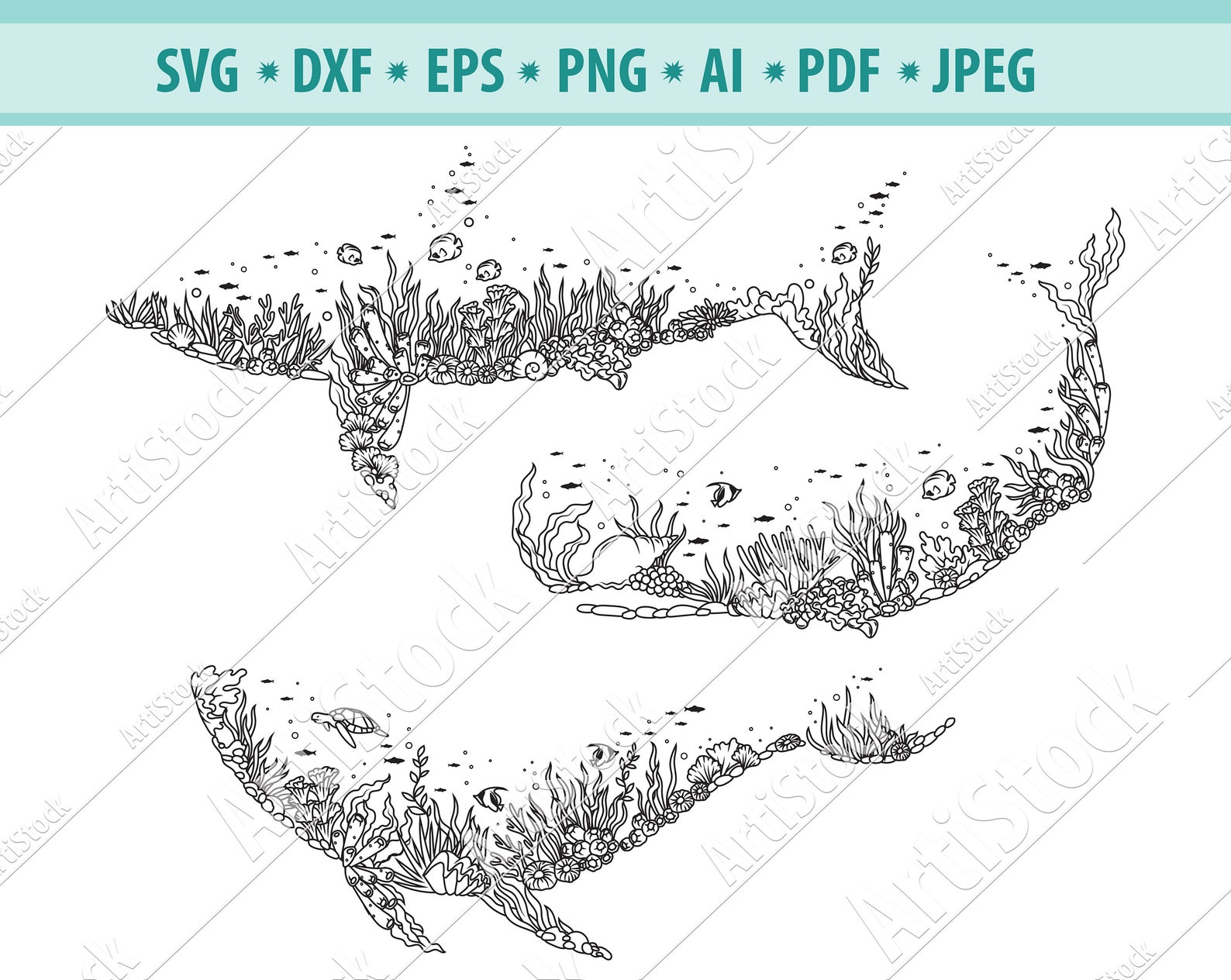Peces submarinos Svg Ballena SVG Tiburón SVG Coral Orca - Etsy España