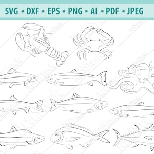 Seafood SVG Bundle Seafood SVG Clipart Seafood Cut Files - Etsy