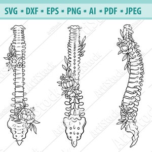 Spine Svg Floral Spine Svg Human Spine Svg Spinal Cord Svg - Etsy