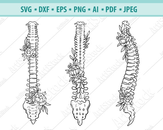 Spine Svg Floral Spine Svg Human Spine Svg Spinal Cord Svg - Etsy