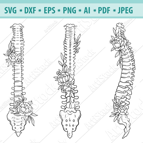 Spine Bones Svg - Etsy