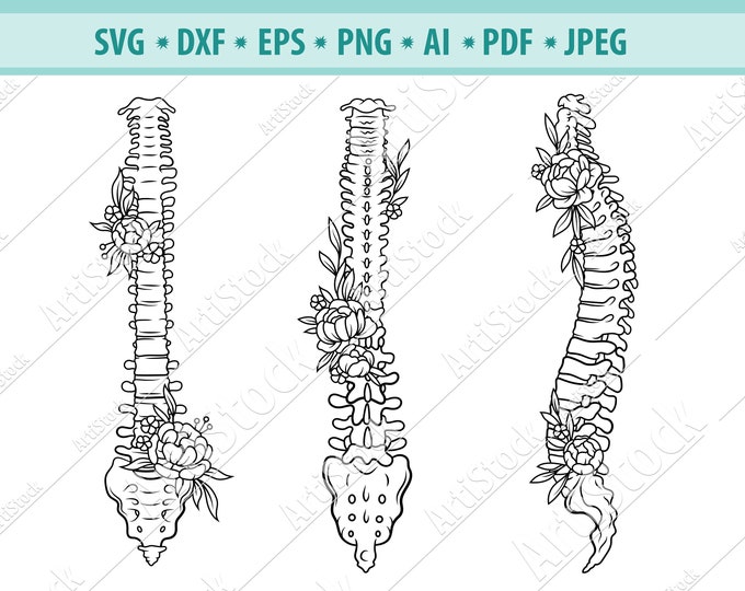 Spine Svg Floral Spine Svg Human Spine Svg Spinal Cord Svg - Etsy