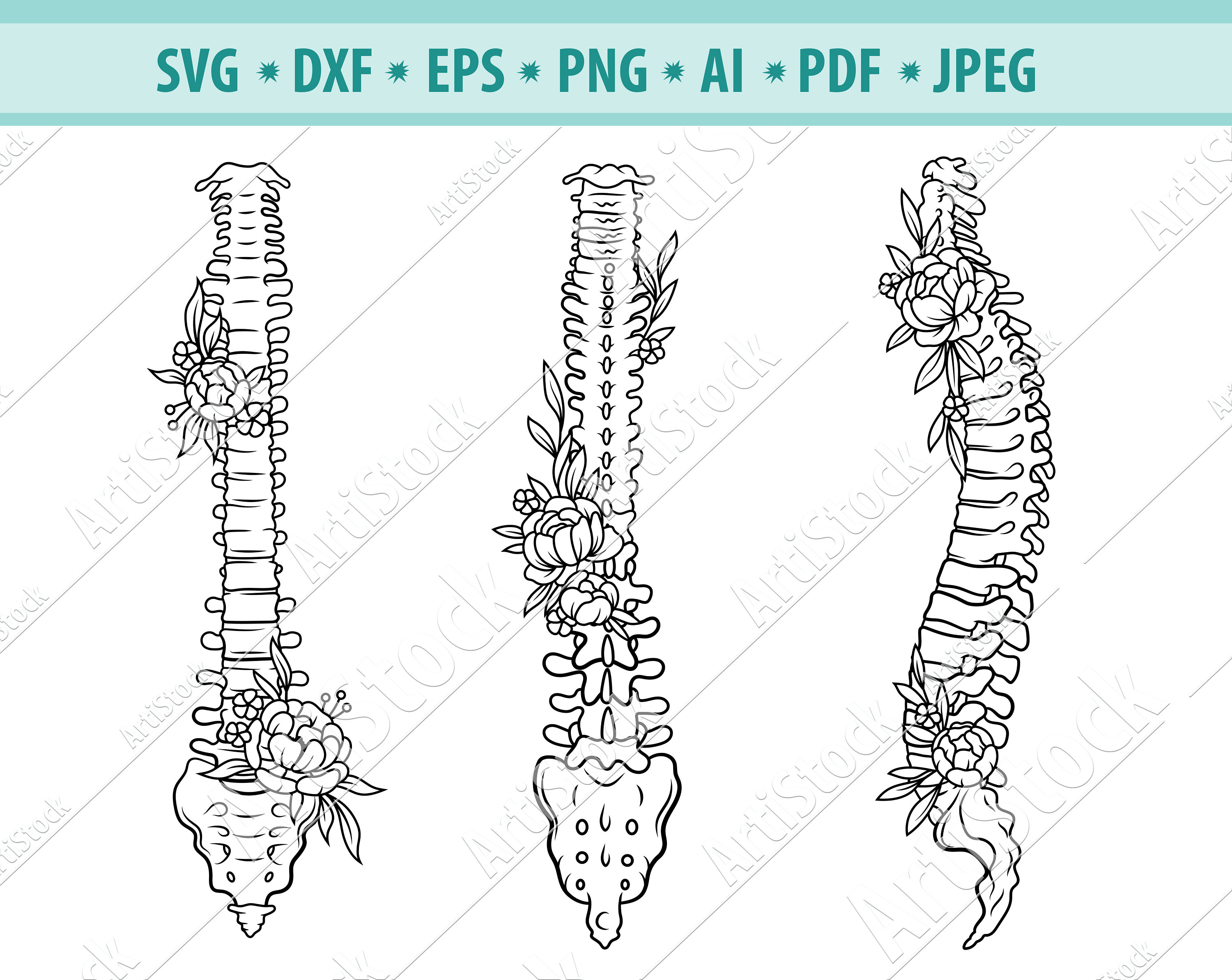 Spine Svg Floral spine Svg Human spine Svg Spinal Cord Svg | Etsy